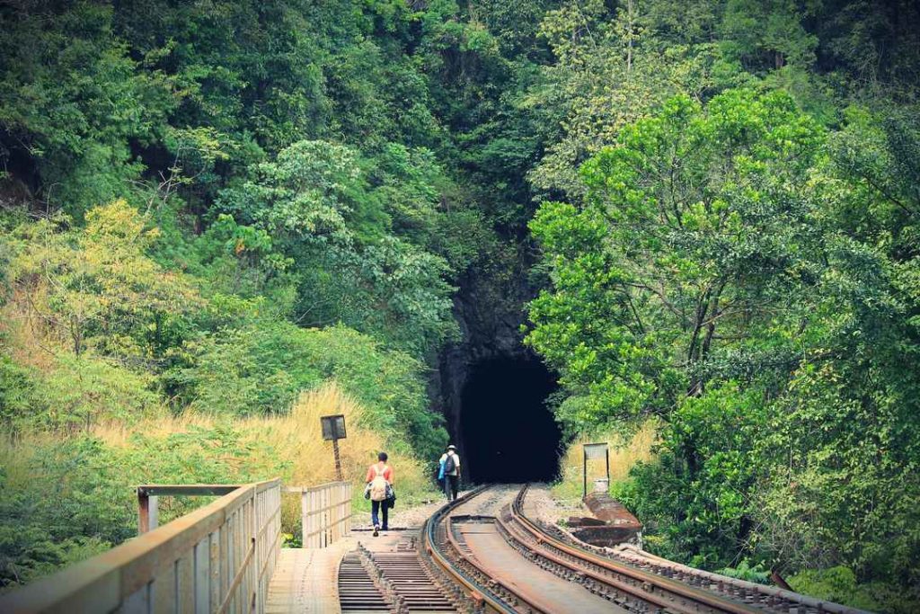 Top 20 : Best things to do in Sakleshpur