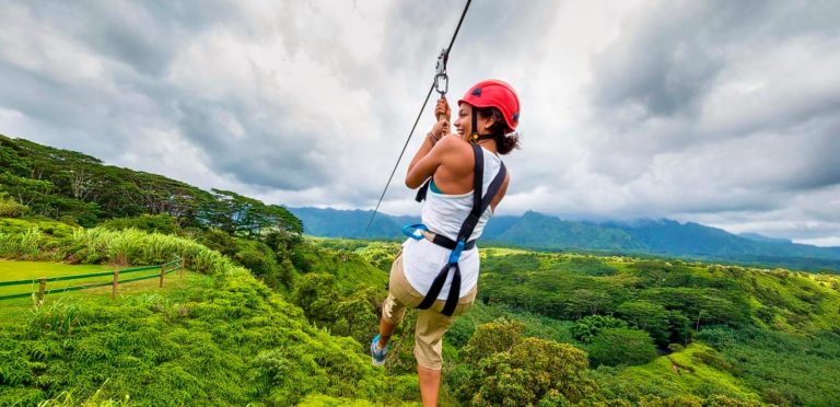 Top 10 : Best things to do in QMango Forest