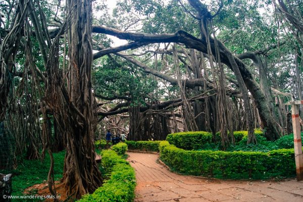 Top 30 : Best things to do in Bangalore