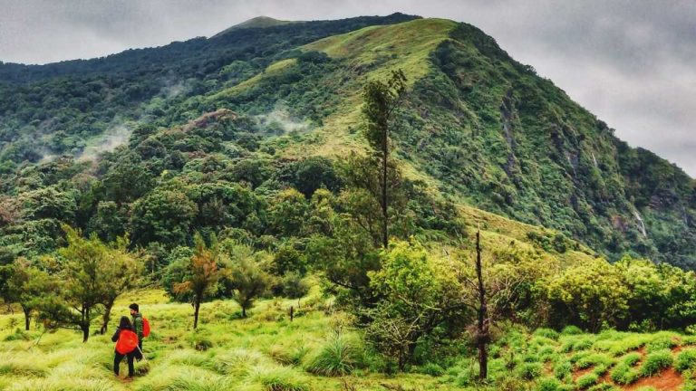 Top 20 : Best things to do in Coorg
