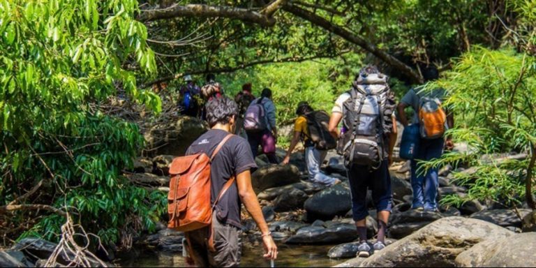 Top 10 : Best things to do in QMango Forest