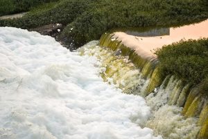 Top 20 : Best lakes in Bangalore